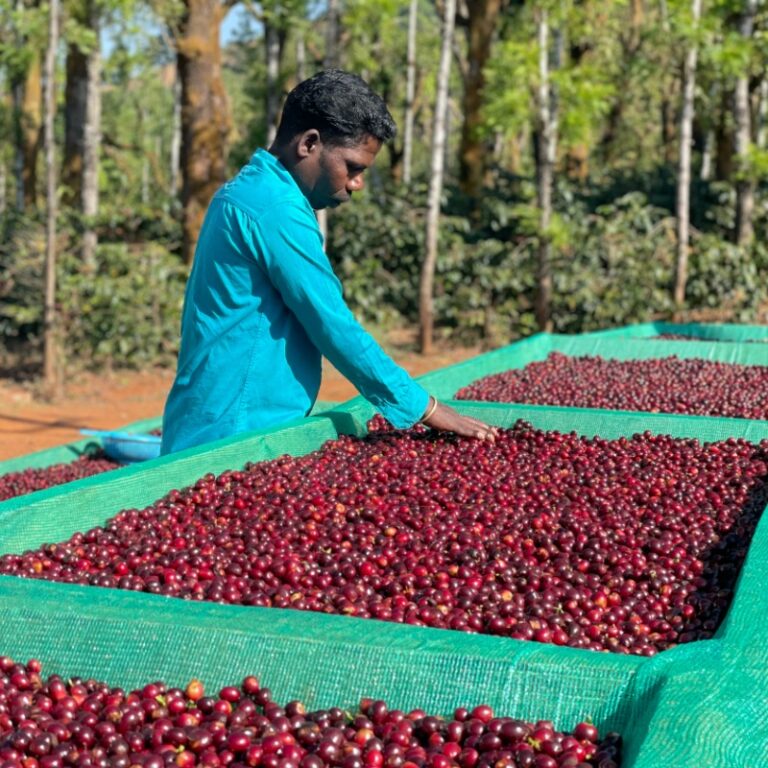 Store | Curious Life Coffee